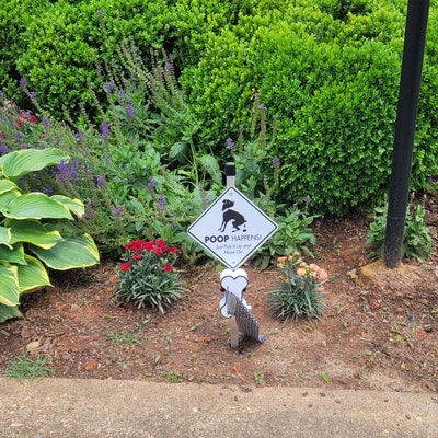 Warning Beware of Attack Parrot Aluminum Dog Sign or Vinyl Sticker 12 X ...