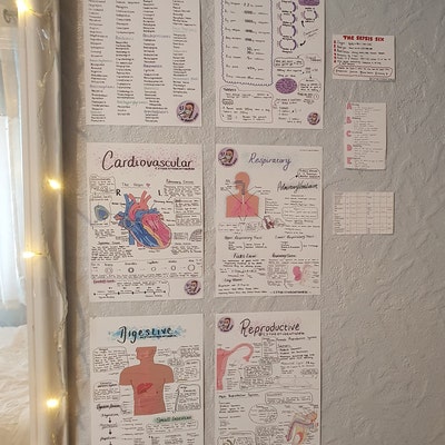 Medication Poster Set - Etsy UK