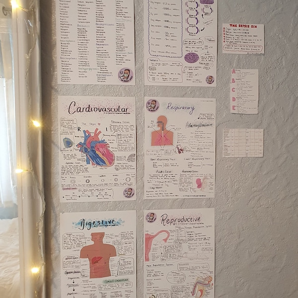 Medication Poster Set - Etsy UK