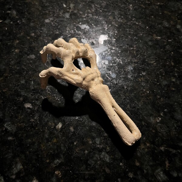 Cast Iron Skeleton Hand & Forearm Bottle Opener With Painted Antique ...