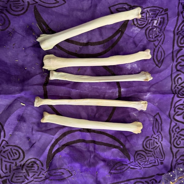 Osteomancy Bone Throwing Set With Over 25 Pieces - Etsy