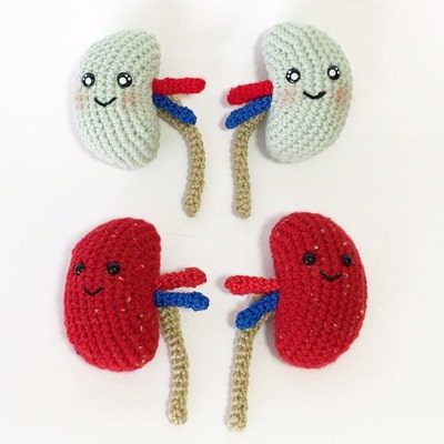 Kidneys Crochet Pattern, Kidney Crochet Pattern, Kidney Amigurumi ...
