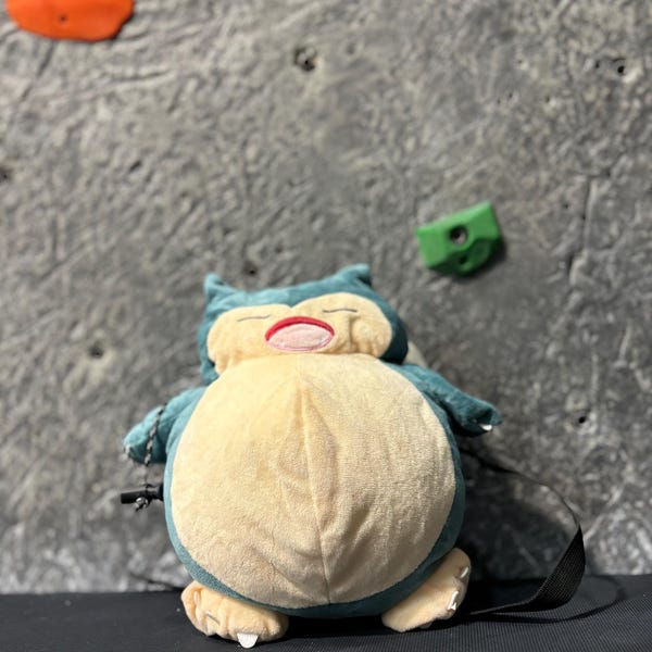 Capybara Chalk Bag W/ Turtle - Etsy