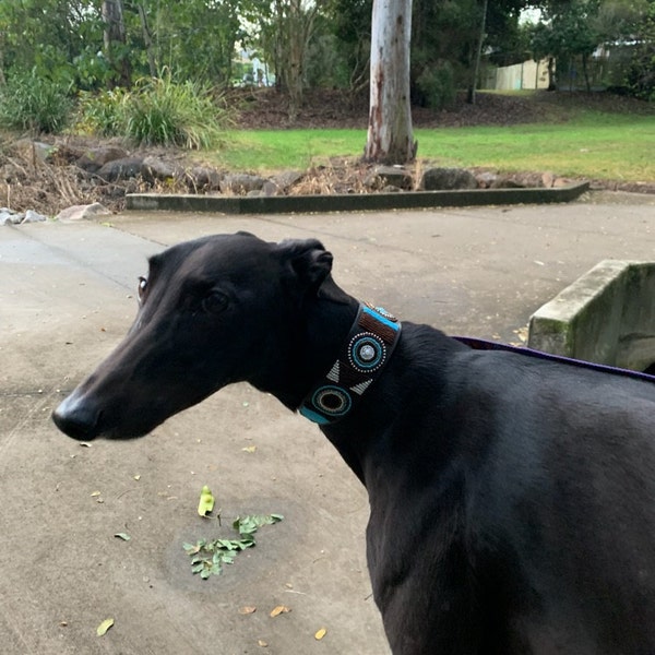 Beaded Leather Lurcher Dog Collars - Neck Size 13-15" (33-39cm) - Width ...