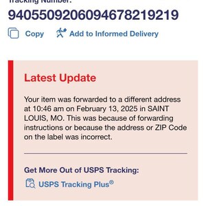 Pumpkin Pinata Fall Themed Gender Reveal Pink Blue Footprints - Etsy