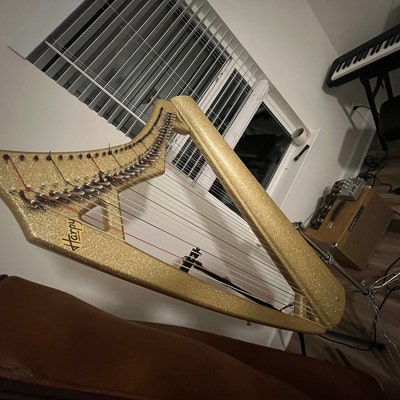 33 String Athena Harpy Electric-acoustic Harp Silver - Etsy