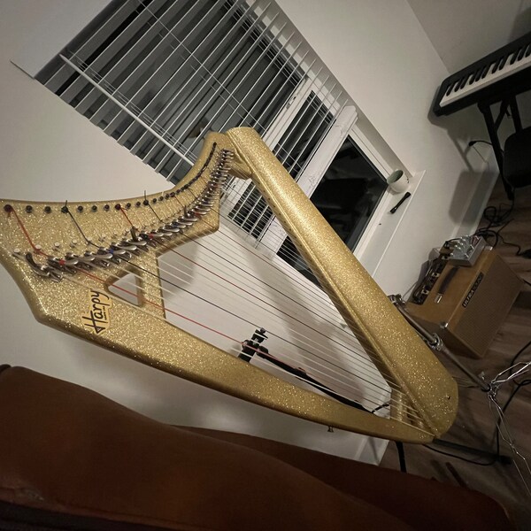 22 String Iris Harpy - Electric-acoustic Harp - Blue - Etsy