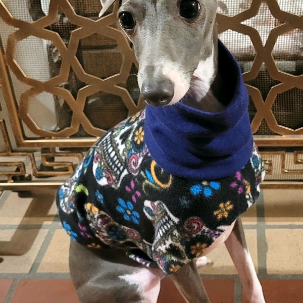 Italian Greyhound Sweater - Multi-stripe - Italian Greyhound Clothing ...