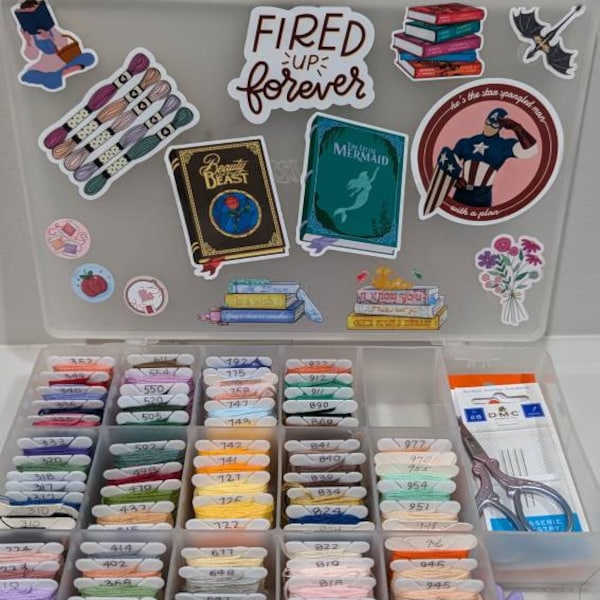 Princess Storybook Sticker Collection - Etsy