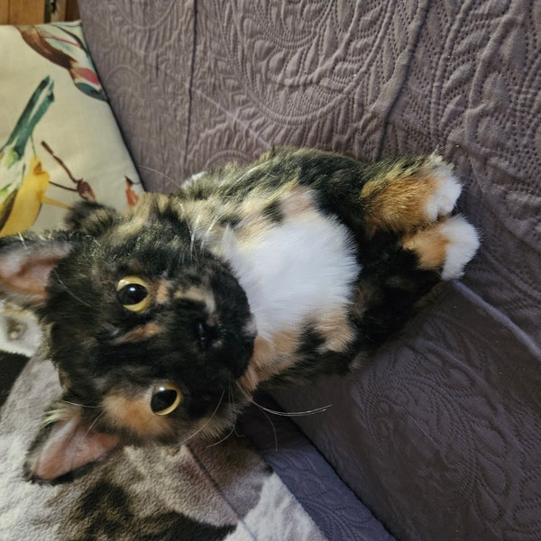 Custom Stuffed Animal, Custom Stuffed Dog Replica Plush Custom Pet ...