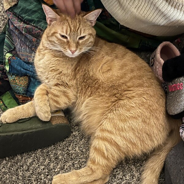 2025 New Year Predictions Psychic 2025 Predictions Future Tarot Reading ...