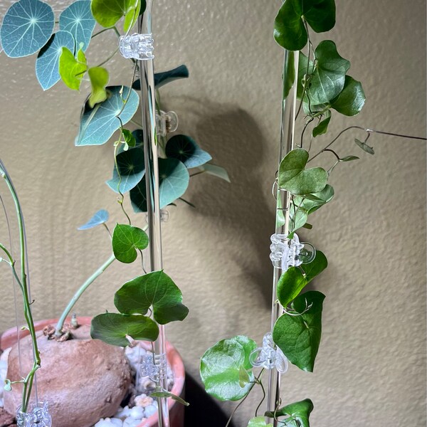 Arch Acrylic Houseplant Trellis With Tapered Connectors - Etsy