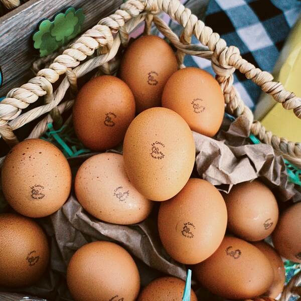 Mini Egg Stamp Homesteading Farm Stamp Egg Marking Egg Stamper Egg ...