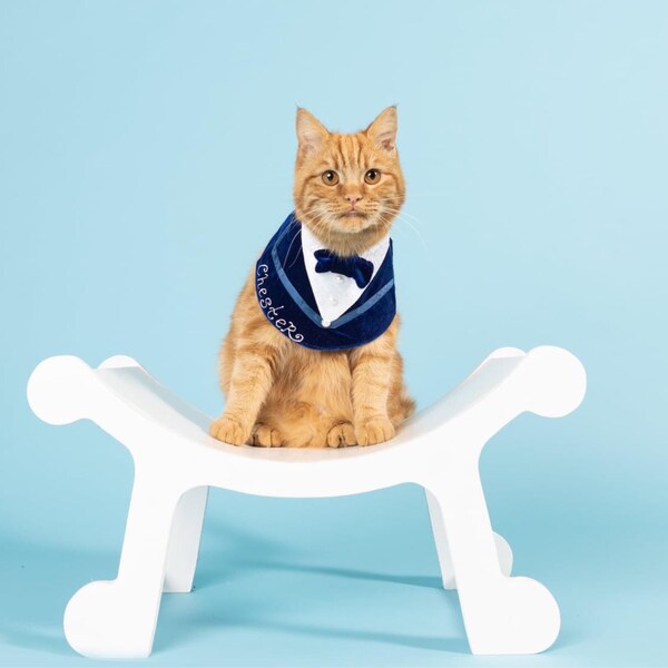 9inch Wheel of Chocolates,9inch Diameter Sweet Wheel, Candy Wheel,gift ...