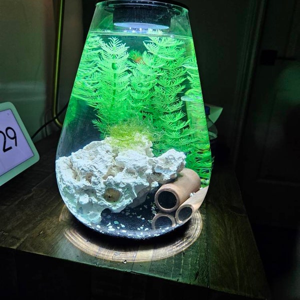 Bioloark Bio Bottle QD205 - Etsy