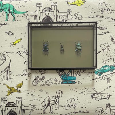 9 and 10 Tall Glass Pyramid Display Shelf Show off Those Treasures and ...