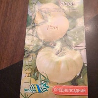 Tomato Seed Tomato Seeds Jason 2110 - Etsy Canada