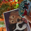Sable, Tri Color, Blue Merle Shelties christmas Buddies NOTE CARDS by ...