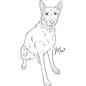 Dog Outline, Custom Line Drawing, Pet Portrait Full Body, Inked Line ...
