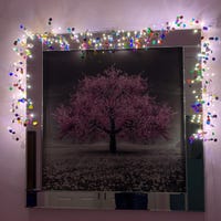 Folklore Coloured Fairy Lights Battery and Mains Fairylights ...