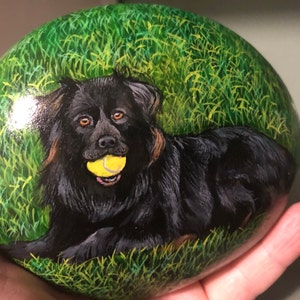 Custom Pet Portrait With Background Painted Rocks From Your Photograph ...