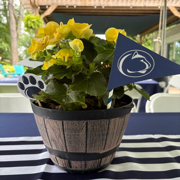 Penn State Bound Graduation Tailgate Party Pennants Flags Props Cake ...
