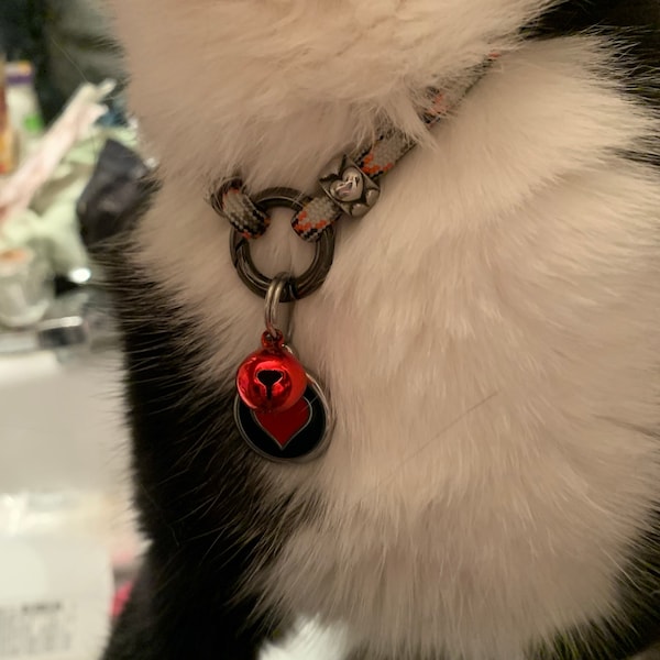 Red & Black Heart Enamel and Stainless Steel Personalized Custom Pet ...