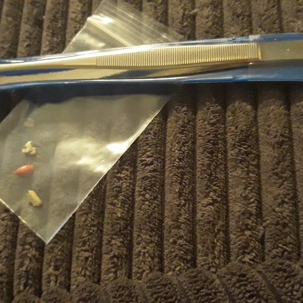 XL Specimen Forceps Professional Grade for Entomology Study Butterfly ...