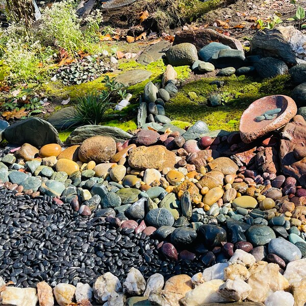 River Rock, Misc, Polished - Etsy