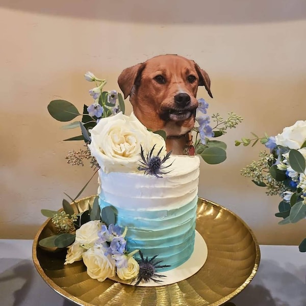 Custom Printed Cake Topper, Photo Cake Topper, Acrylic Cake Topper ...