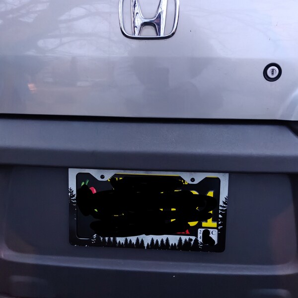 Cool Punk Checkered Skull License Plate | Unique Car Accessories for ...