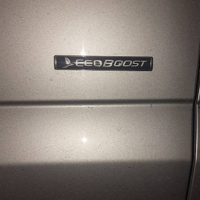 Uncoated Ford Ecobeast, Ecobeauty or Twin Turbo: 2 Emblem Ecoboost ...