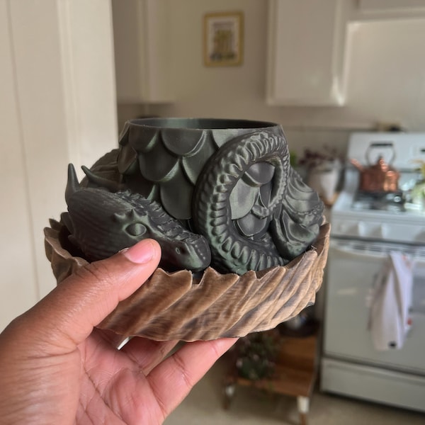 Dragon 3D Printed Succulent Planter Pot Vase With Tray - Various Colors ...