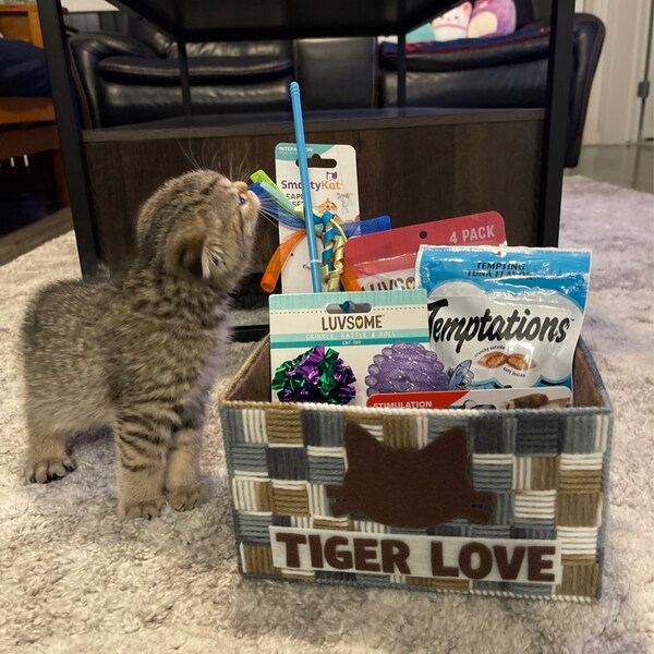 Personalized Postcard Storage Box - Etsy