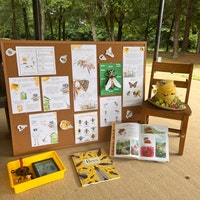 PENGUINS Unit Study, Life Cycle, Anatomy, Nature Study, Science ...