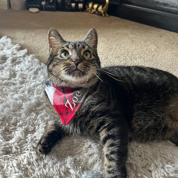 Matching Scarf and Dog Bandana Set Cotton Flannel Soft for You Both to ...