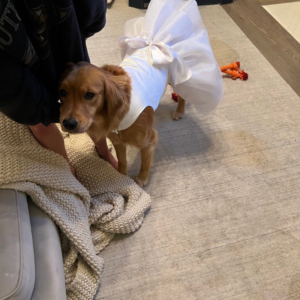 Chicago Cubs Dog Dress, Dog Tutu Dress, Cubs Tulle Dog Dress, Chicago ...