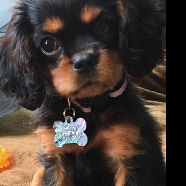 Abalone Print Dog ID Tag Custom Pet Tag Personalized Dog Tag Paua Shell ...