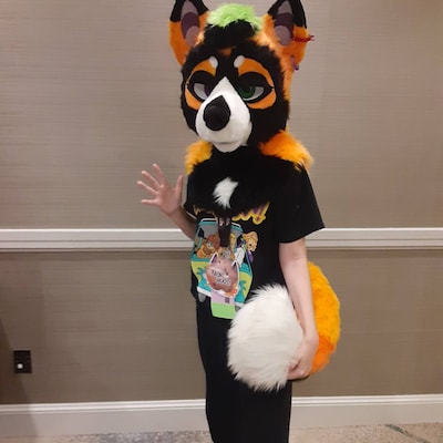 Custom Fursuit Head Base - Etsy