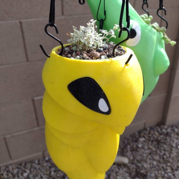 Totodile Cute Big Jaw Pokemon Planter Desk Organizer - Etsy