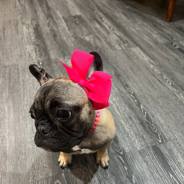The Perfect Pink Dog Bow - French Bulldog Accessories - Bulldogs & Bows ...