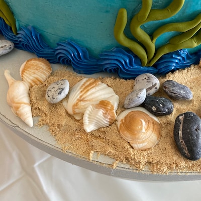 Sea Shell Fondant Topper 50pcs Beach Cake Topper Beach Cupcake Toppers ...