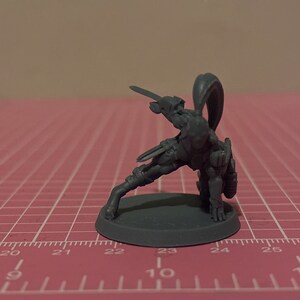 Franke Fan Art Anime 3D Printed Resin Statue Polybits Garage Kit ...