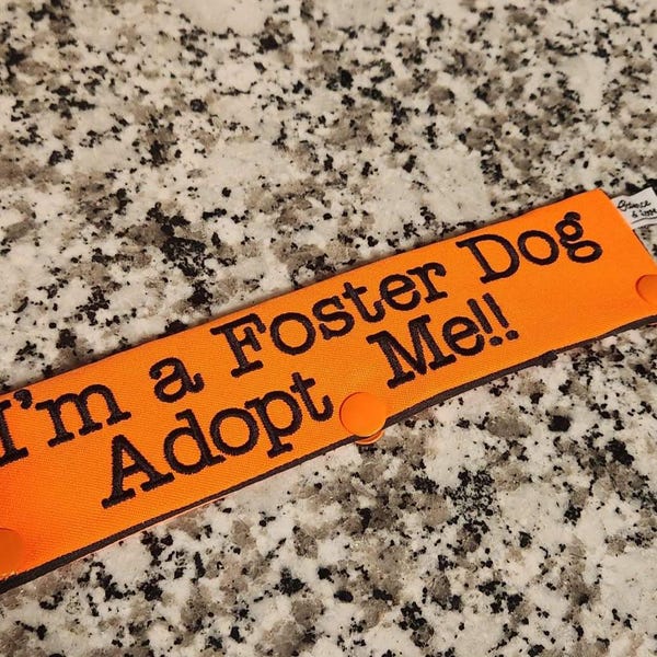 1 I'm a Foster Dog, Choose Which Ending, Leash Sleeve, Collar Wrap ...