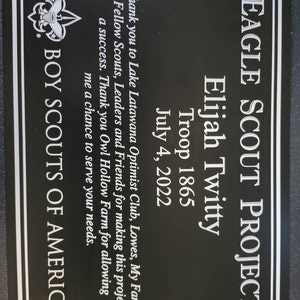 BSA Licensed AOL Den Leader Cub Scouts Plaque With Rank - Etsy