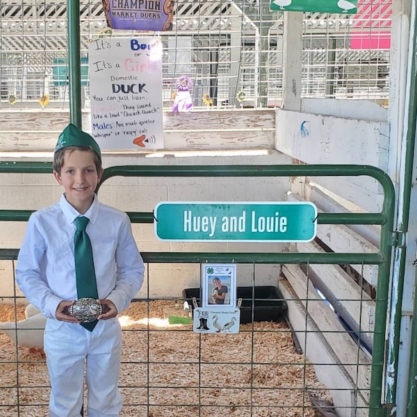 4-H Show Flag - 4-H Display - 4-H Livestock Display - Etsy