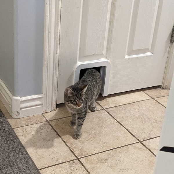 Cat Door Interior Dog Door for Homeowner Gift for Cat Lover Gift Simple ...