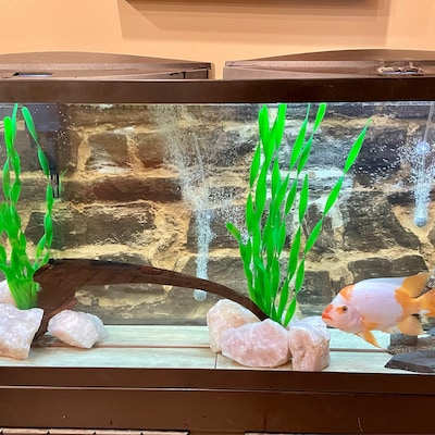 Black Rock / HD Stone Aquarium Background Rocky Fish Tank Background - Etsy