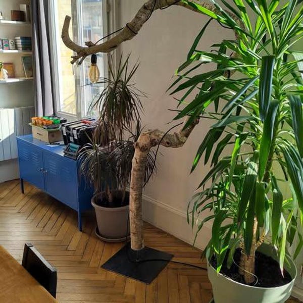 Pure Opium Perfume Bottle 10 Ml Alcohol-free - Etsy