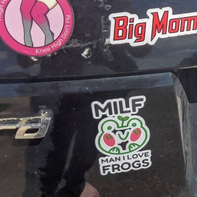 AMC Ape Sticker Amc Window Sticker, Decal, Hodl Apes Together Strong ...